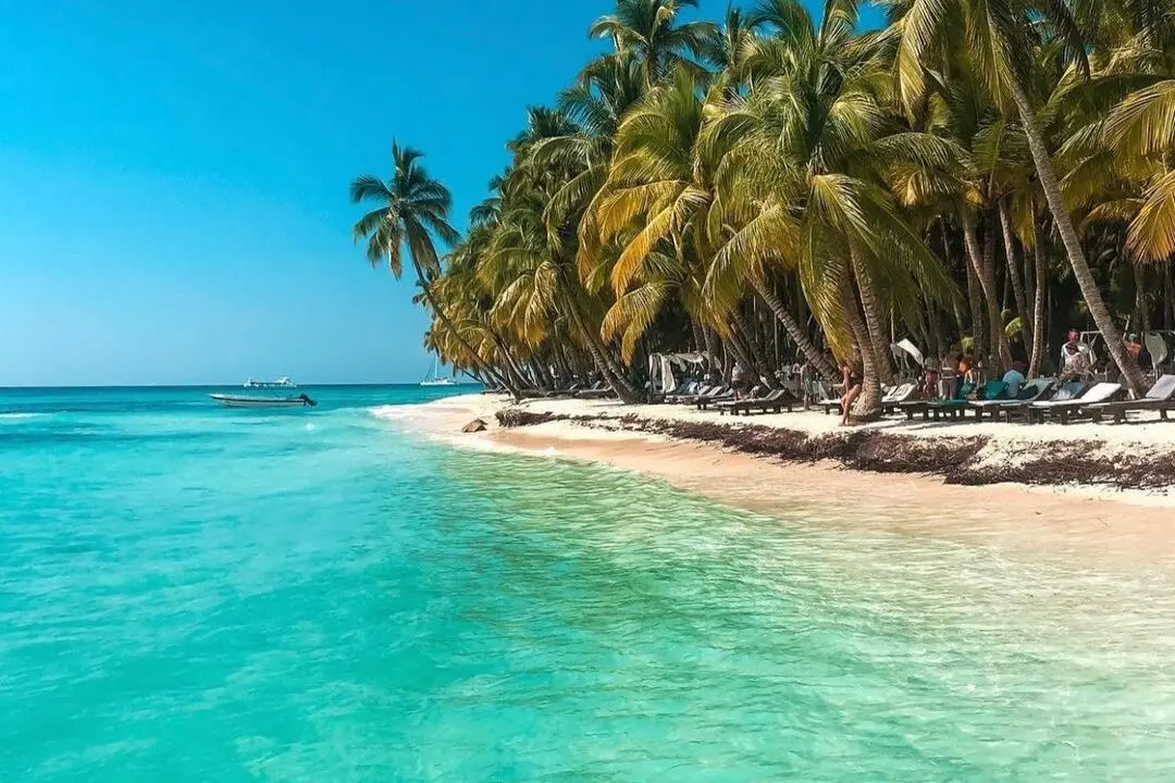 Saona Island travel guide | Punta Cana Tour Store