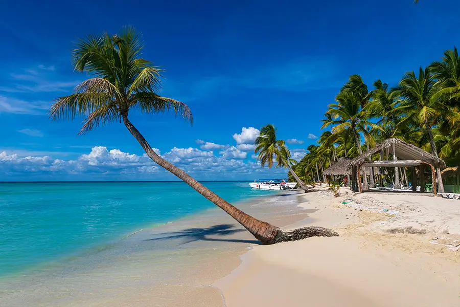 what does punta cana mean in english | Punta Cana Tour Store