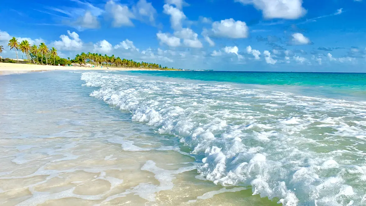 what does punta cana mean in english | Punta Cana Tour Store